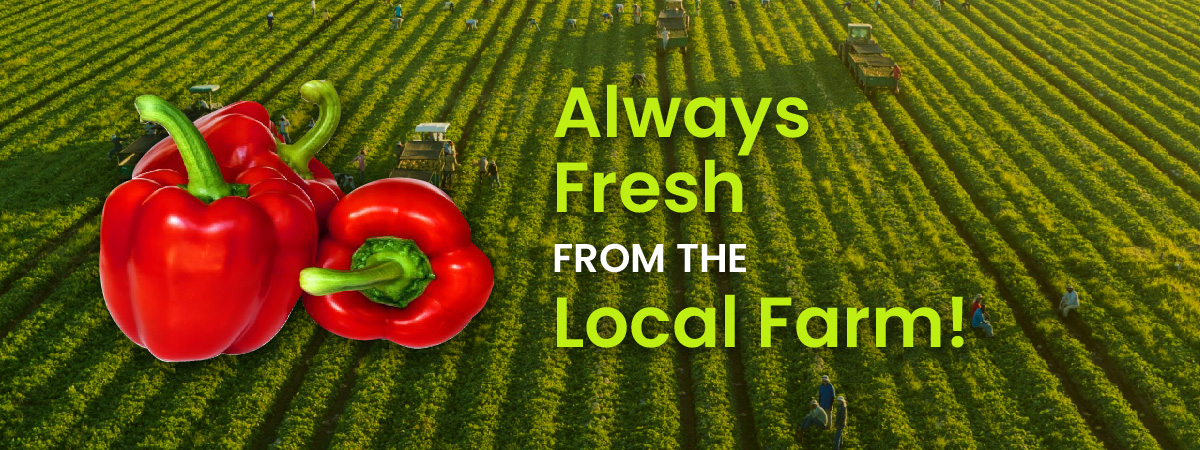 My Butcher Market - Eco Fresh Meat Distributor Sdn. Bhd.